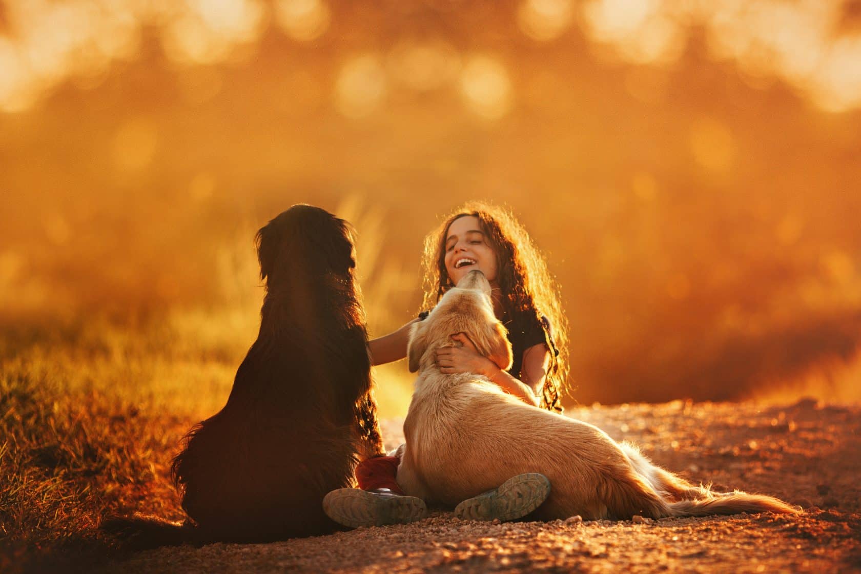 Can Dogs Have ADHD? It Might Not Be the Zoomies. - Goally