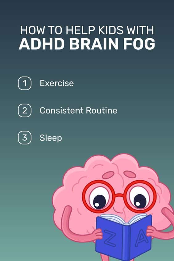 Adhd Brain Adhd Brain