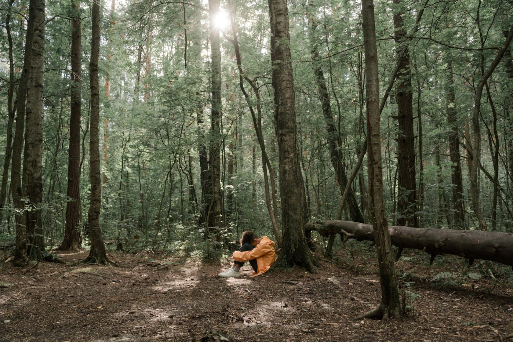 What to Do if You Are Lost - Goally