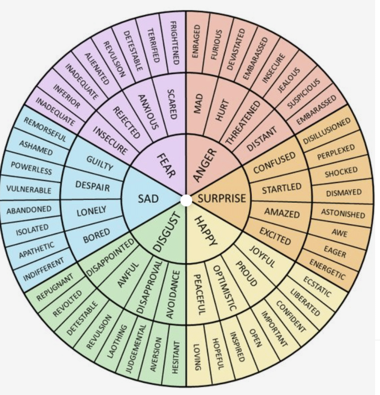 How Many Feelings Are There? | The 27 Emotions - Goally