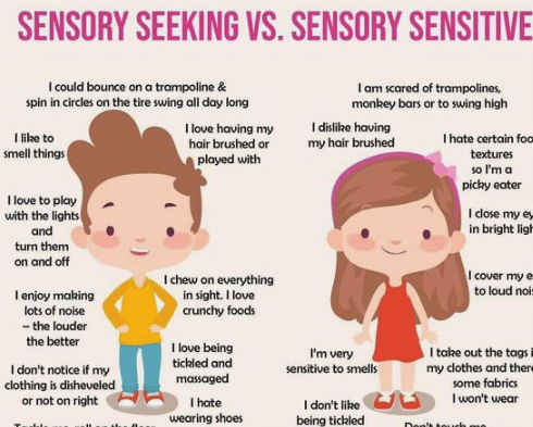 Sensory Seeking Toddler | Parent Guide - Goally